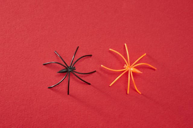 Funny April Fools’ Day Prank Ideas For Families | Love Coupons