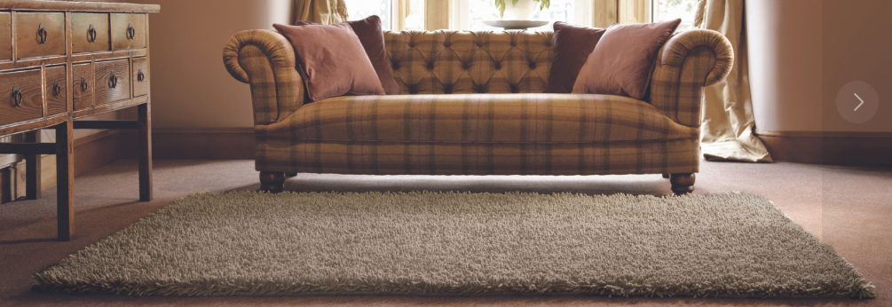 55% Off | Land of Rugs Discount Code January 2026